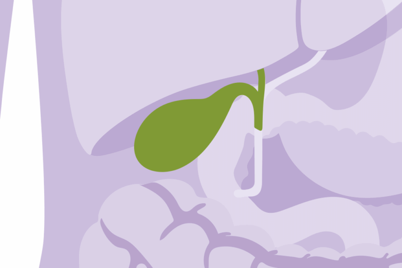 Alles over de endeldarm | MDL Fonds