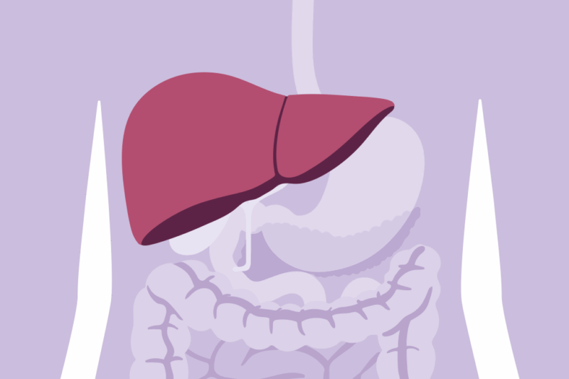 Alles over de endeldarm | MDL Fonds