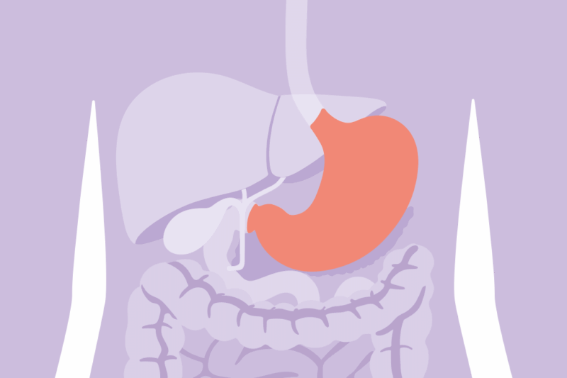 Alles over de endeldarm | MDL Fonds