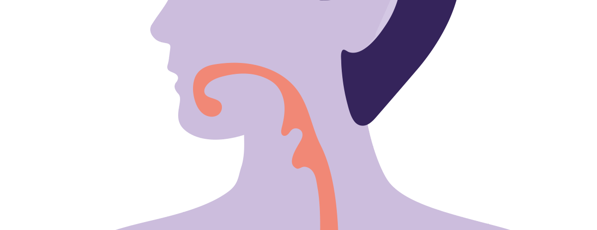 Alles over de slokdarm | MDL Fonds